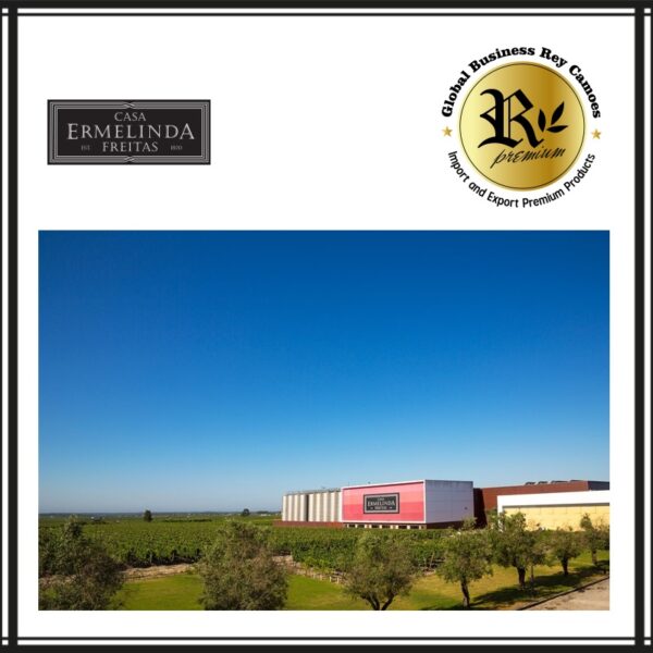 Vino Casa Ermelinda Freitas Dom Campos Tinto Reserva - Rey Camoes ...